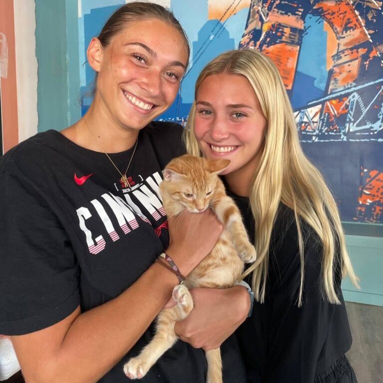 Mightycat Medical Grants - Orphan Kitten Club